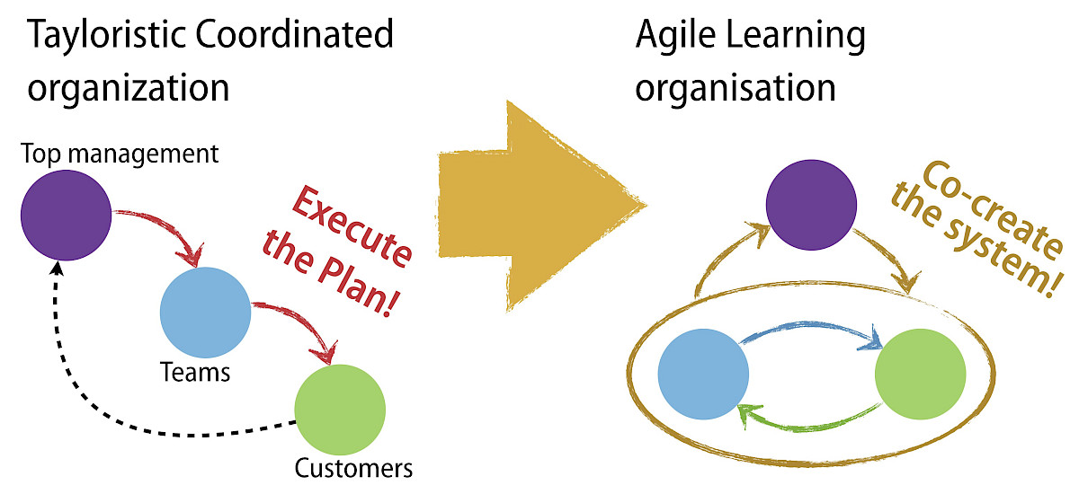 Actionable Fearless Leadership — Gosei